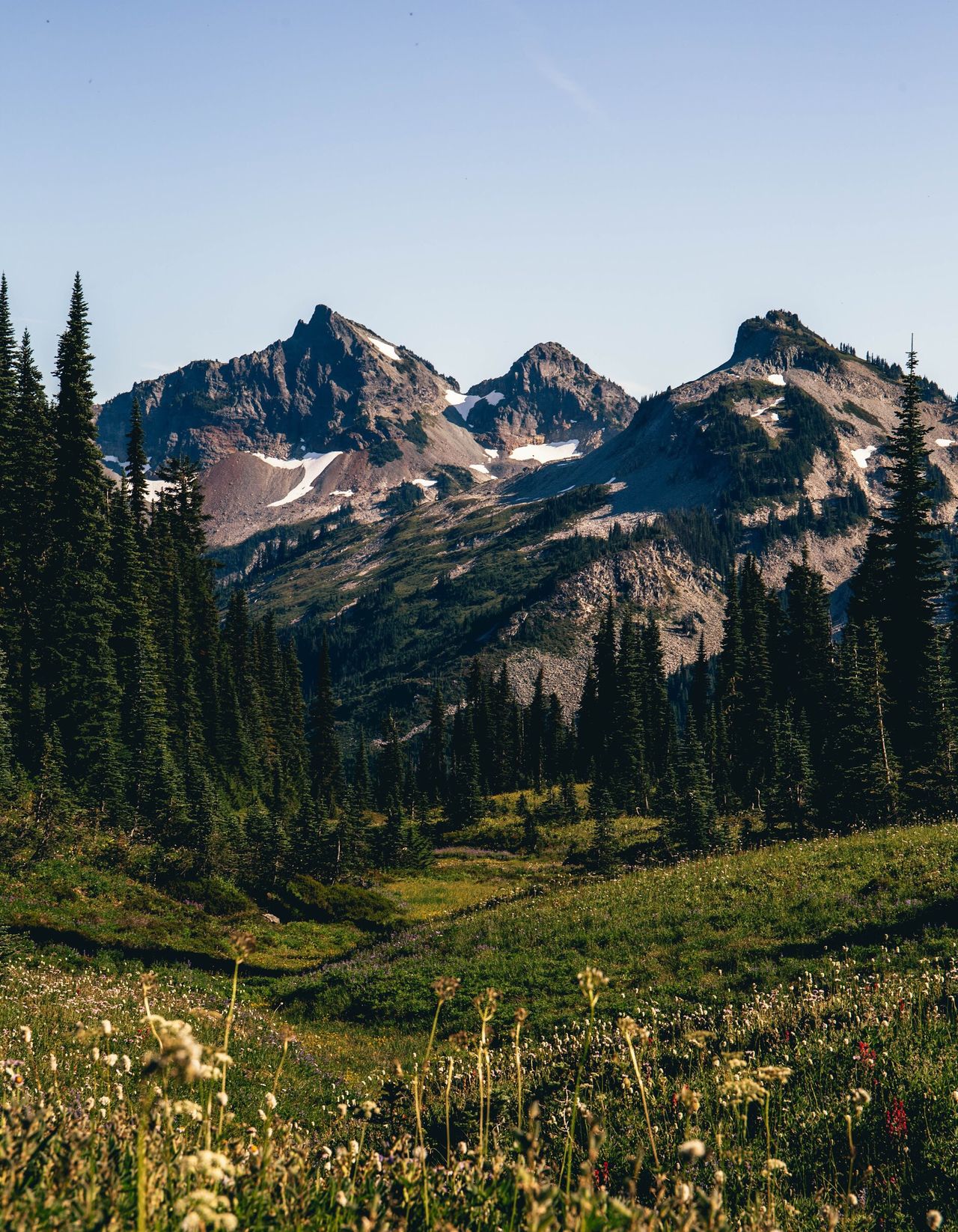 Scenic view of desert against sky | ID: 117778556